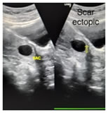 Medpulse Volume 11 Issue 3