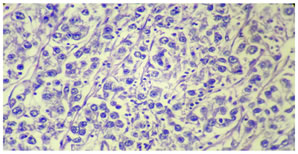 Medpulse Volume 13 Issue 1